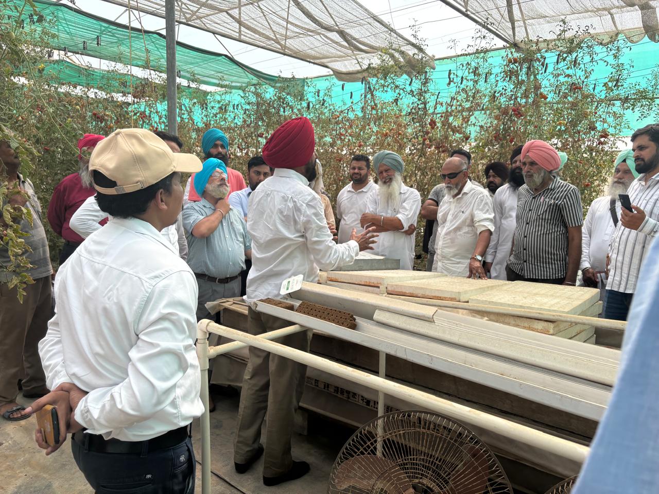 Two-Day Workshop on Medicinal Plants Production via Hydroponics ...